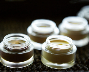 About us - KESTREL Vision